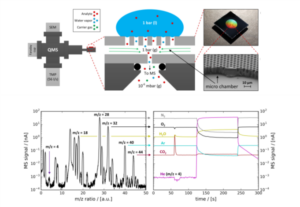 mass-spectrometry - Spectro Inlets