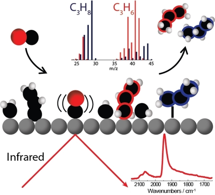 Publications related to Electrochemical Mass Spectrometry - Spectro Inlets