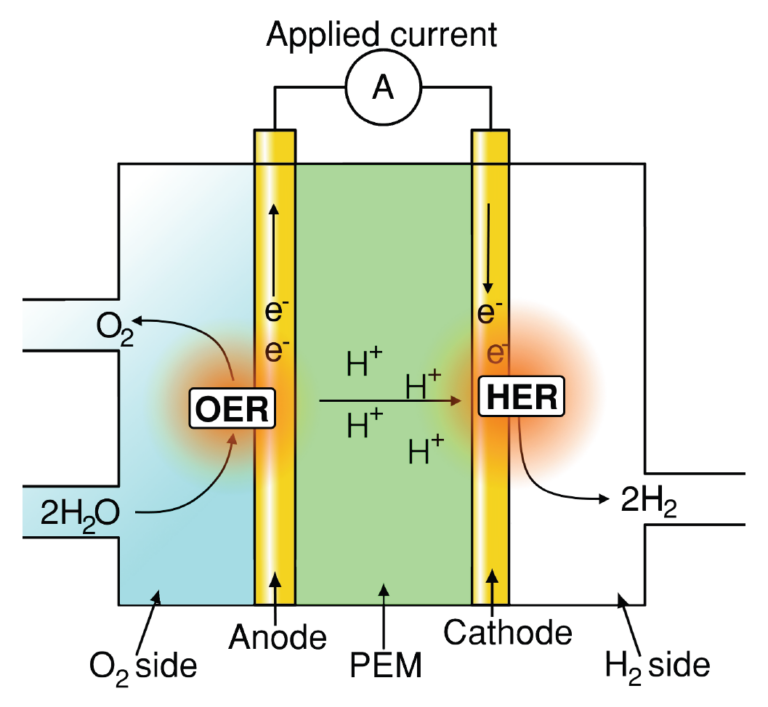 Oxygen Evolution Reaction - OER - using EC‐MS system - Spectro Inlets